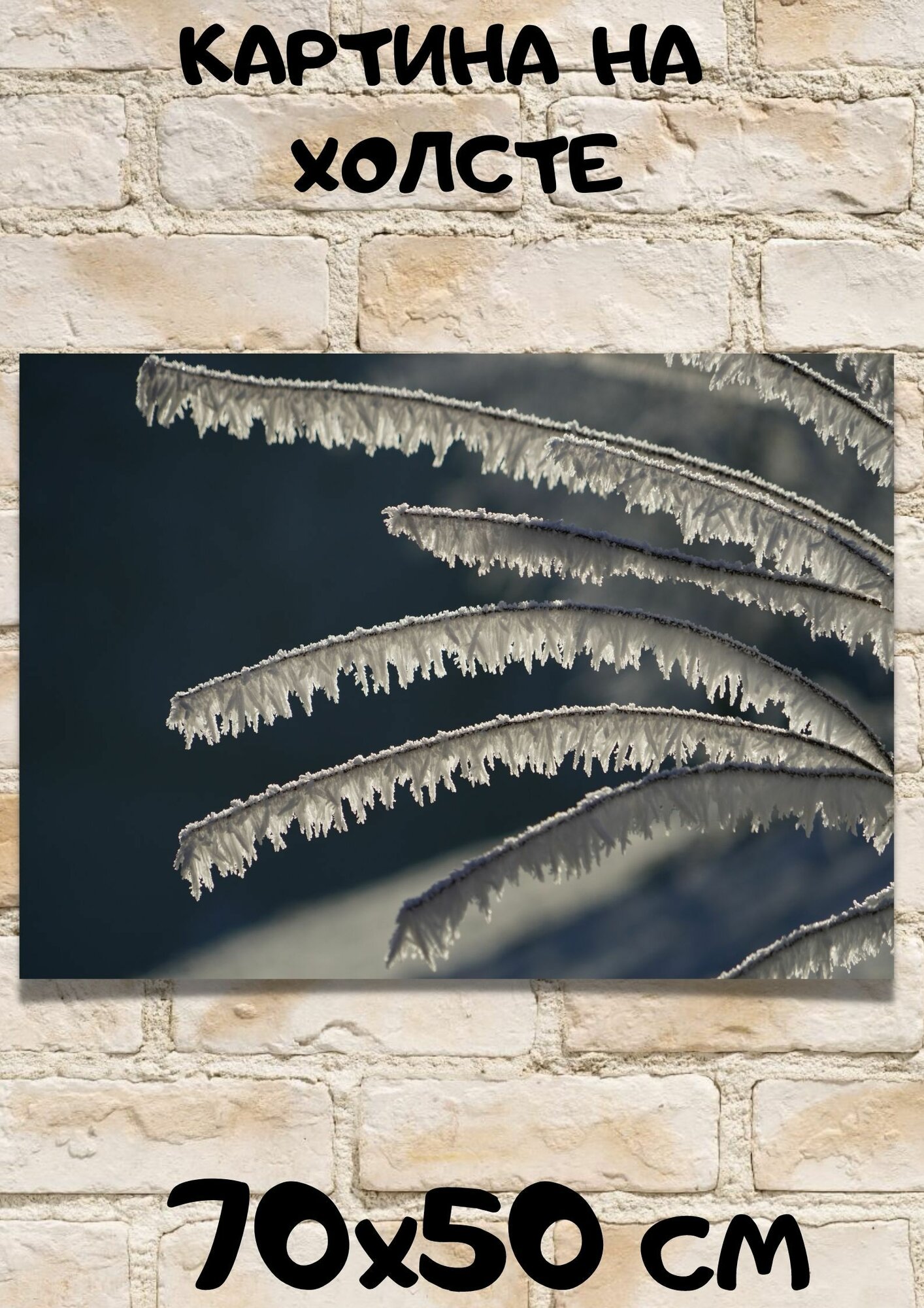 Картина со снегом и Зимой / Фотокартина замерзшая ветка, покрытая льдом