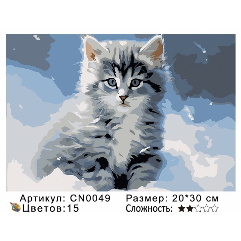 Картина по номерам Paintboy CN0049, холст на подрамнике, 20x30 см