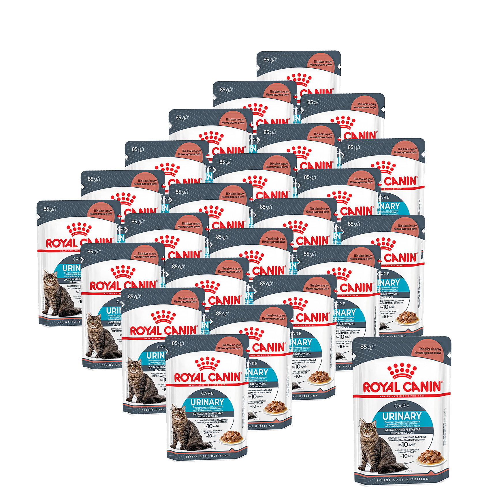 Корм для кошек ROYAL CANIN Urinary Care для поддержания здоровья мочевыделительной системы, в соусе, 85г x 24 шт.