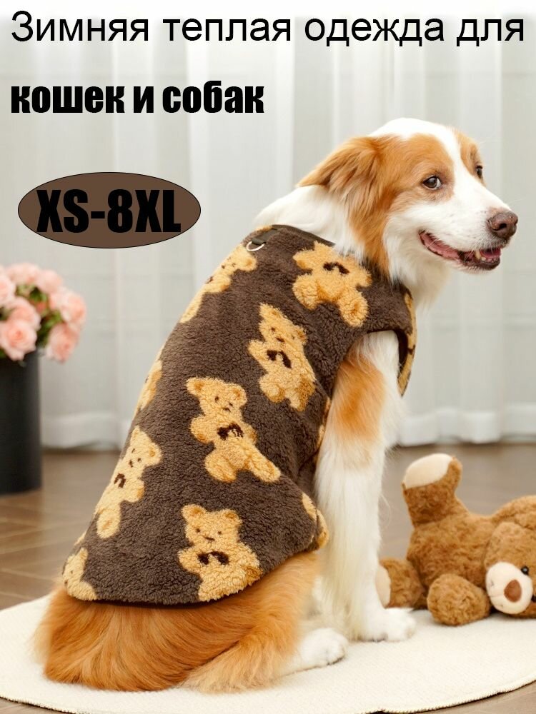 Одежда для животных