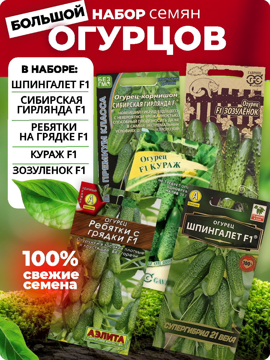 Семена огурцов для огорода ассорти №8 (Кураж, Сибирская Гирлянда, Шпингалет, Ребятки с грядки, Зозуленок)