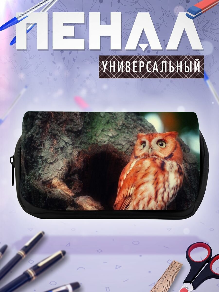 Школьный пенал Красный сова сова