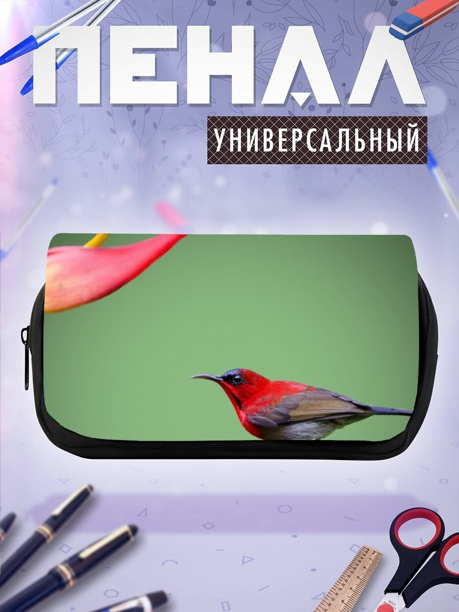 Школьный пенал птица красный цвет