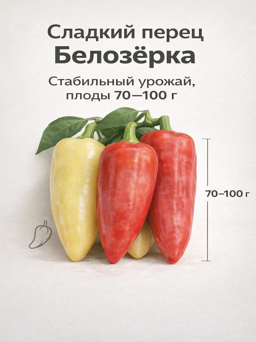 5шт Семена перца сладкого Белозёрка, среднеранний сорт, плоды 70100 г, для открытого грунта и теплиц