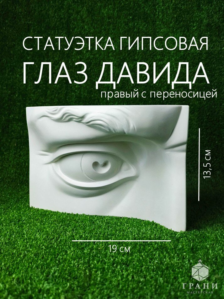 Гипсовая статуэтка "Глаз Давида правый с переносицей", 13х18, учебное пособие для художников