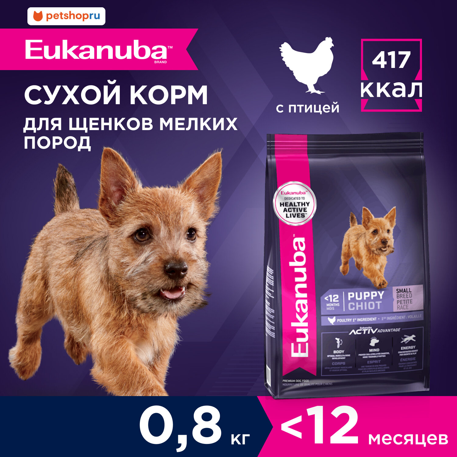 Eukanuba Сухой корм для щенков малых пород, с курицей, 800 гр