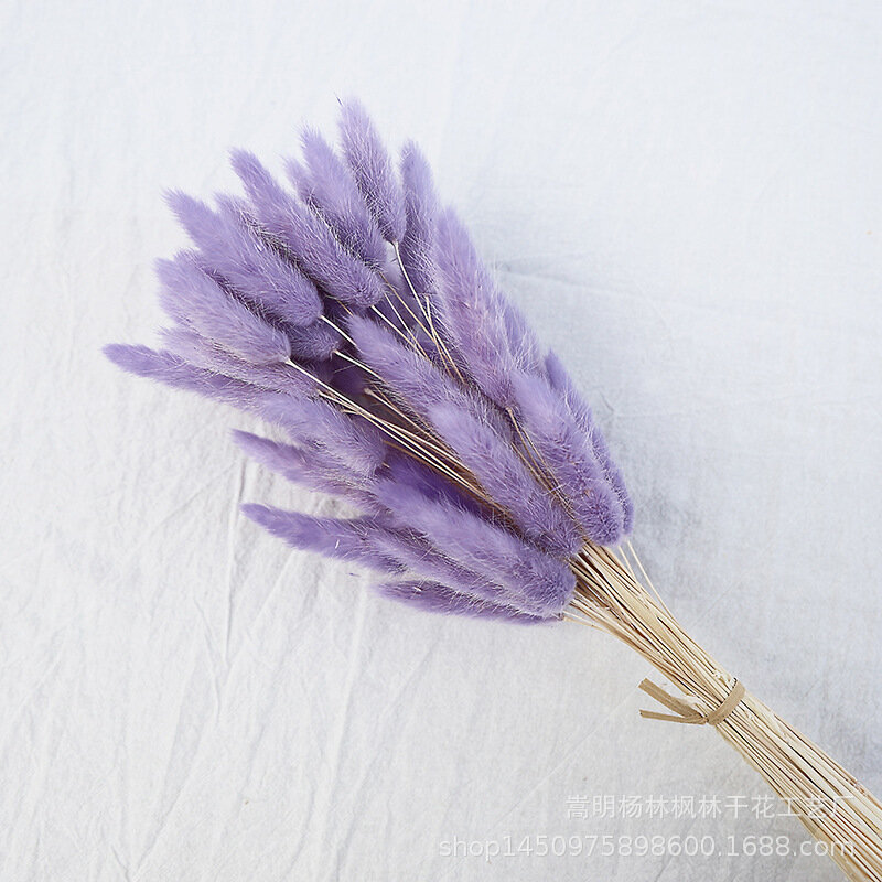 Пучок травы "Кроличий хвост", фиолетовый, 60 палочек