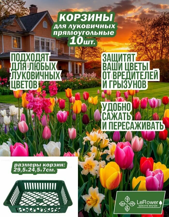 Корзина для луковичных растений, прямоугольная, 10 шт