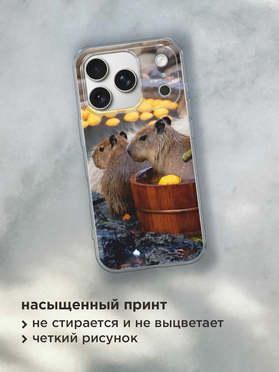 Чехол на Apple iPhone 17 Pro / Айфон 17 Про с принтом "Капибары отмокают" — фото 1