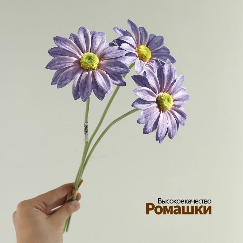 Стабилизированные цветы, Ромашки, 5 пучков, 38cm