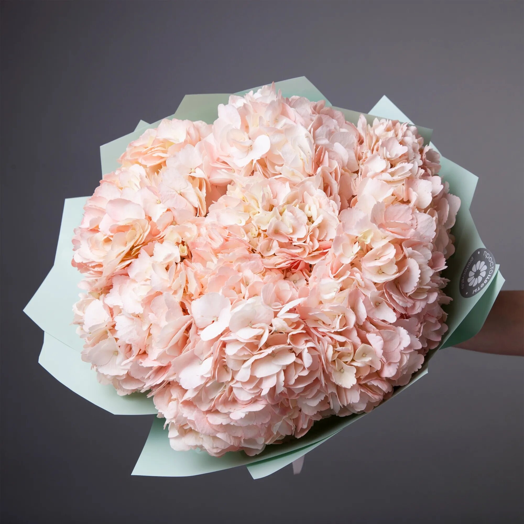 Букет Гортензия "Скай Пинк" 9 шт Высота 60 см в коробке и аквабоксе от "Простоцветы"