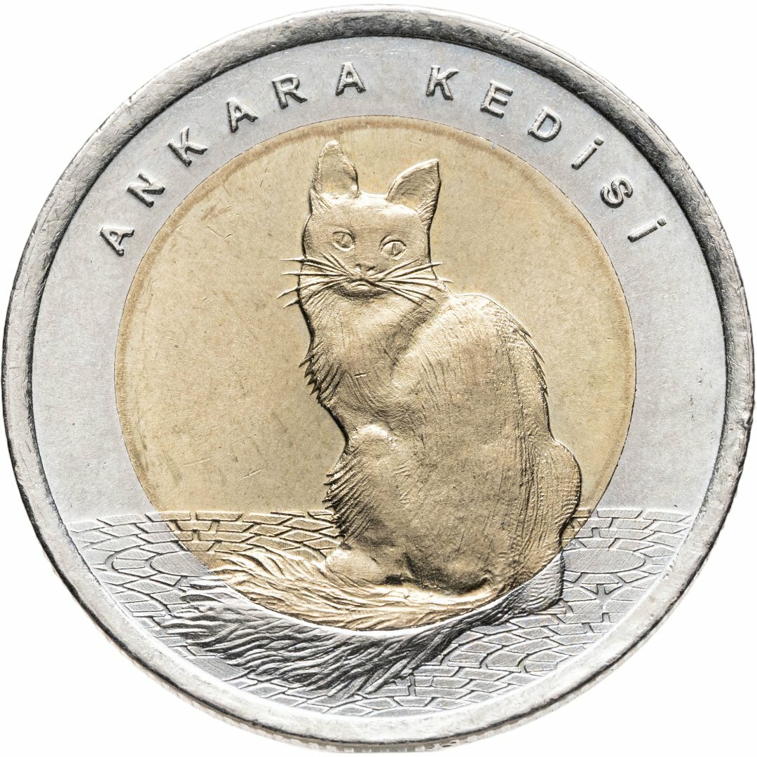 Турция 1 лира 2015 "Фауна Турции - Турецкая ангора", Биметалл, в сохранности UNC