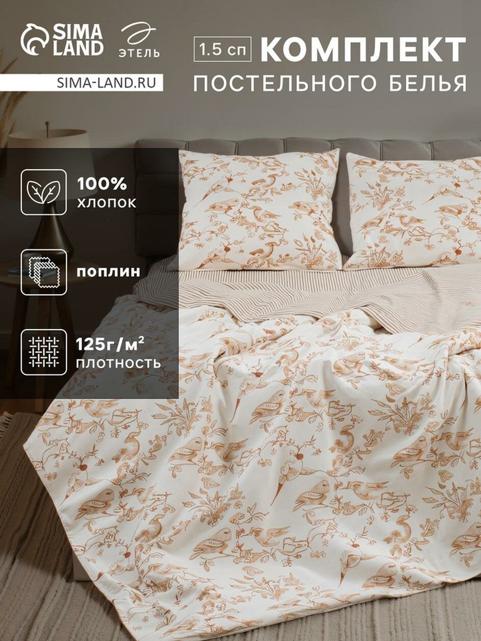 КПБ "Этель" 1.5 сп Eden Garden 143*215 см, 150*214 см, 70*70 см-2 шт, поплин 125 г/м2