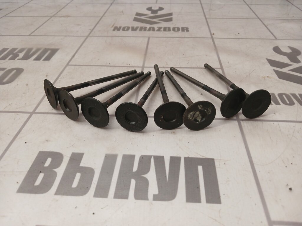 Клапан выпускной Ford Focus 2 05-08