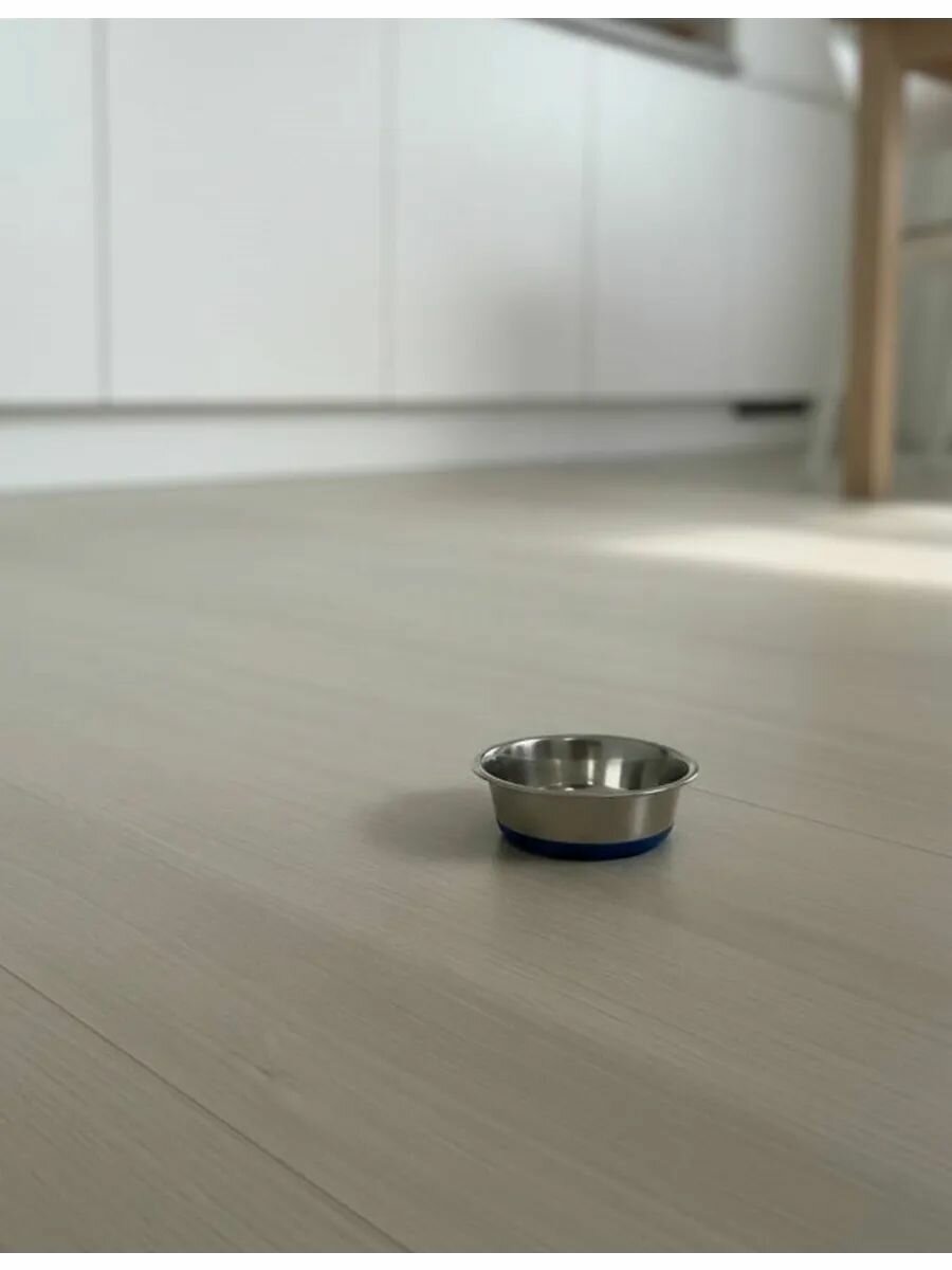 Миска металлическая Japan Premium Pet для кошек и собак 300 мл