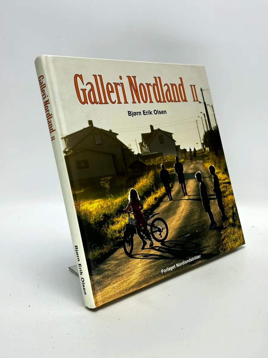 Bjørn Erik Olsen. Galleri Nordland II