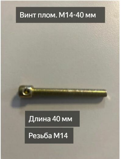 Винт пломбировочный М14-40 комплект 10 штук длина 40 мм