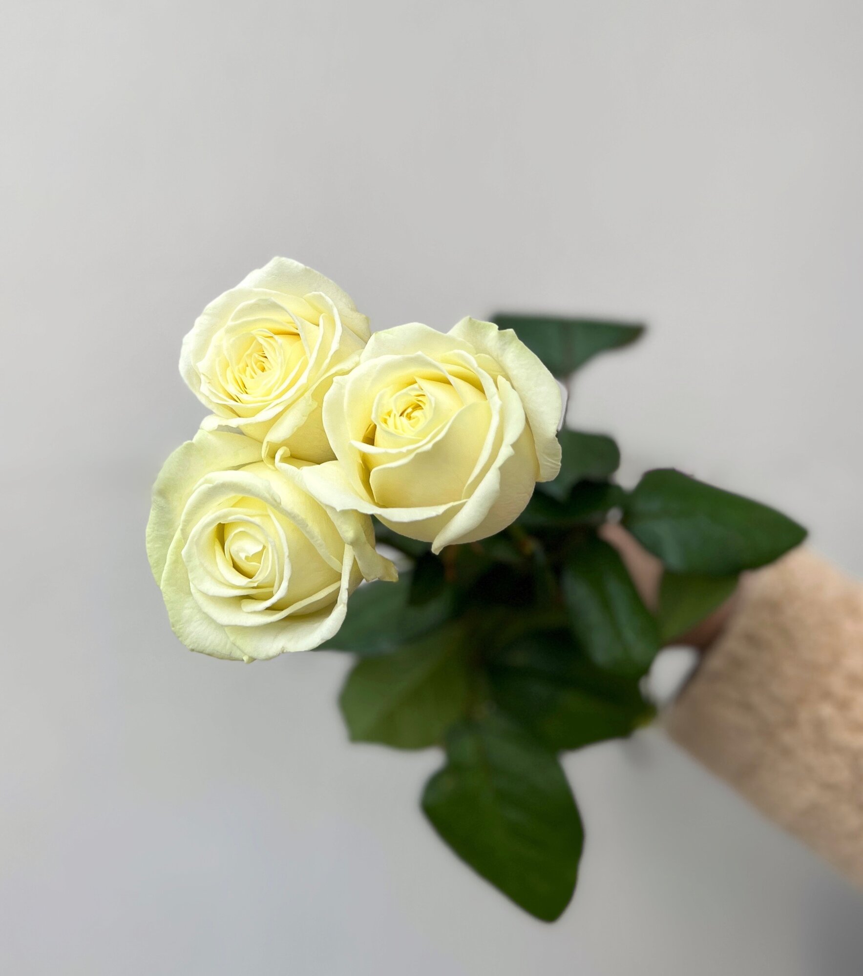 Букет из 3 белых роз 50 см, букеты цветов с днем рождения, букет живых цветов, Россия