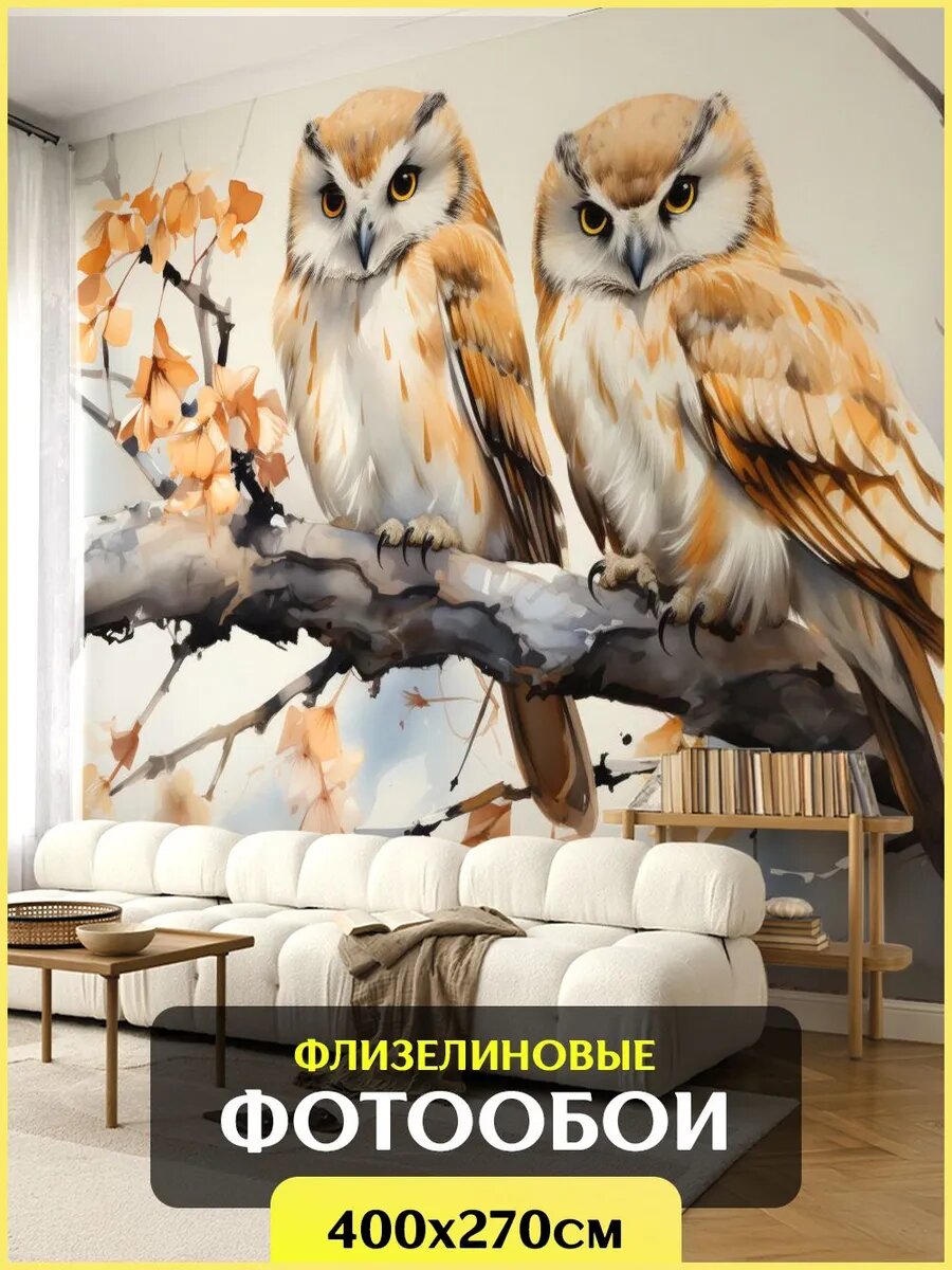 Фотообои на стену Сова 400 х 270 см