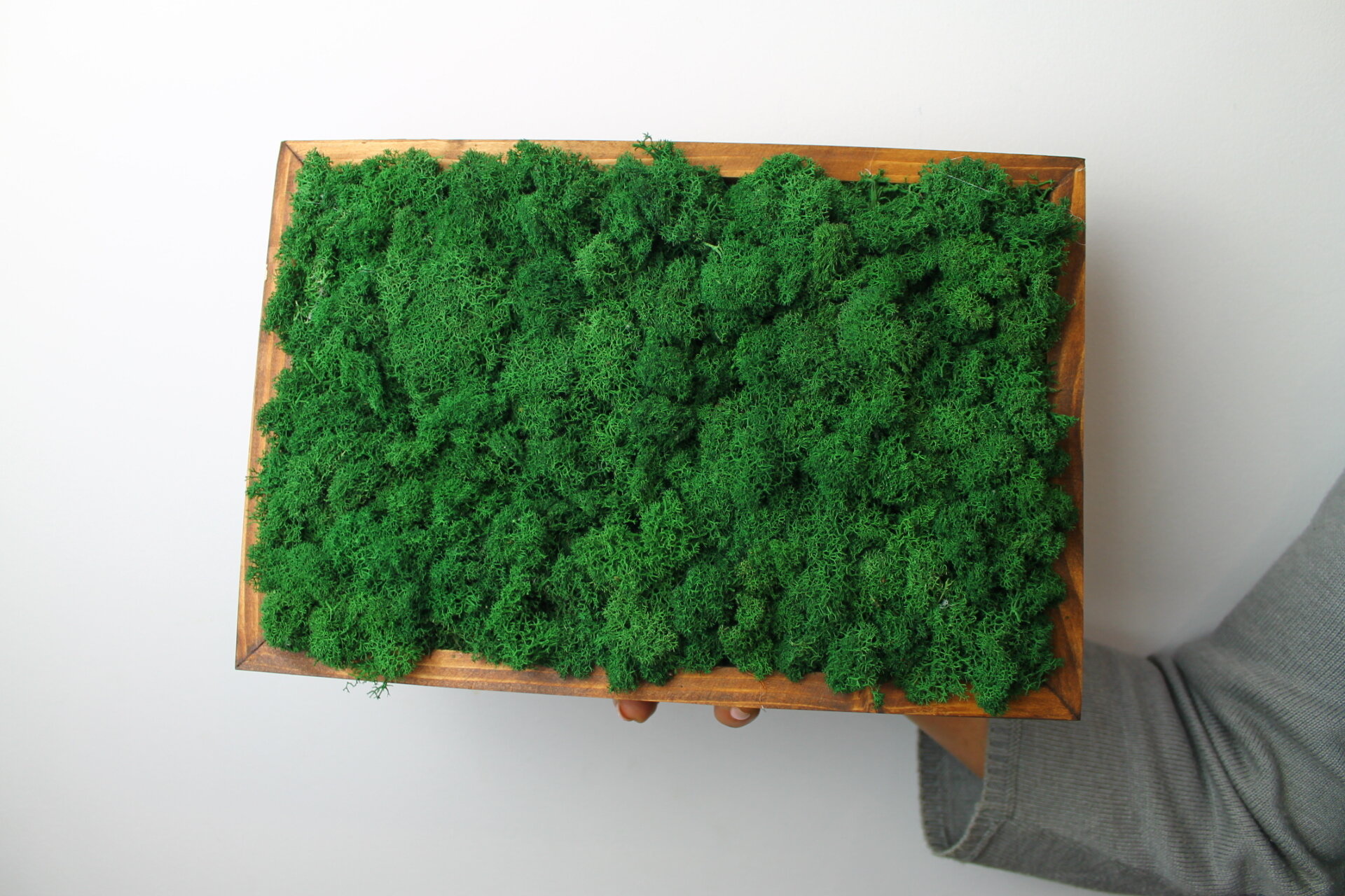 Живая эко-картина для интерьера 20х30см