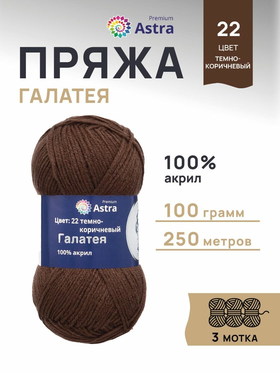Пряжа для вязания Astra Premium 'Галатея' 100г, 250м (100% акрил) (22 темно-коричневый), 3 мотка