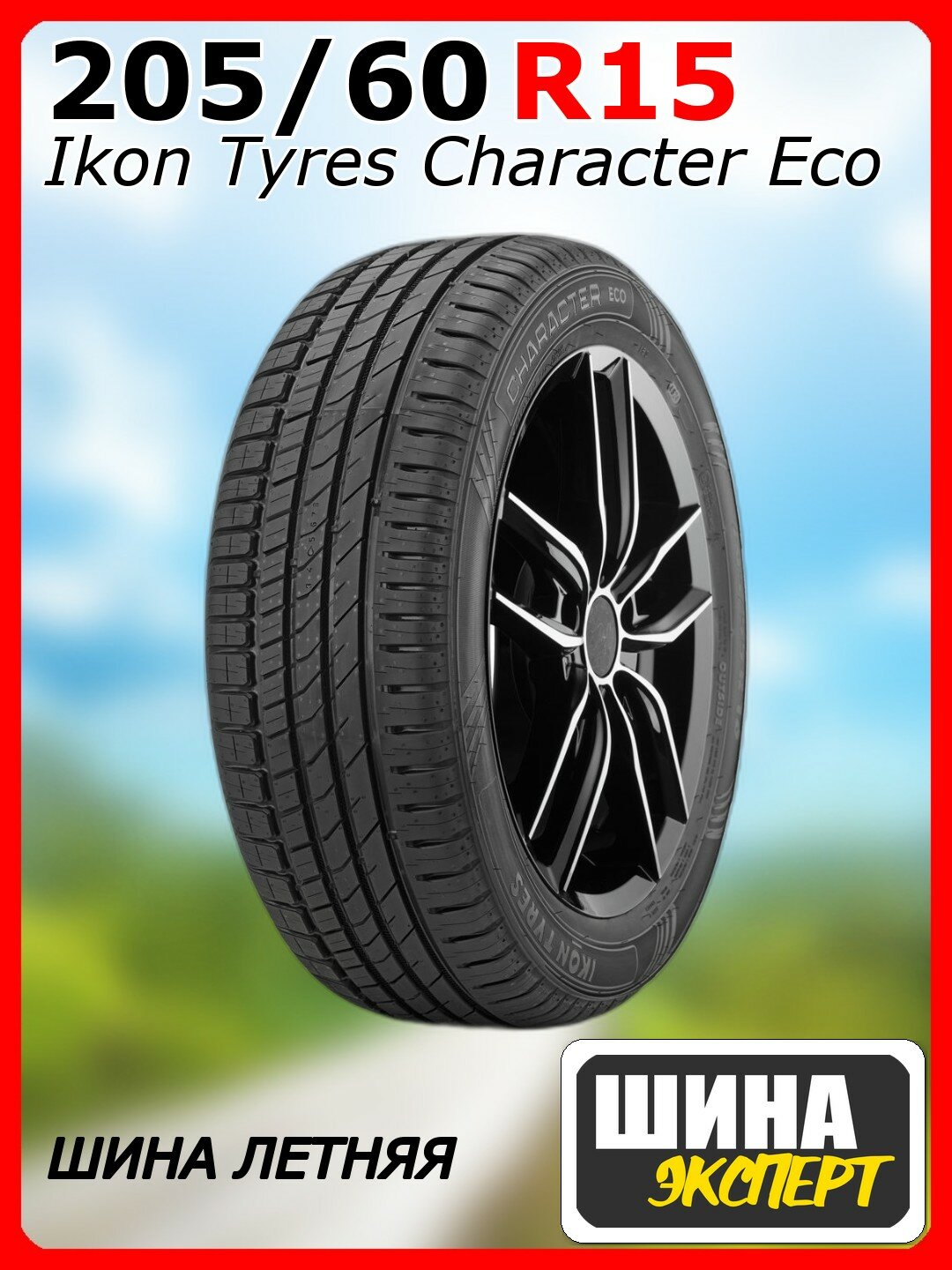 Шина летняя Ikon Tyres 205/60/15 H 91 Ikon Character Eco для легковых автомобилей T743178