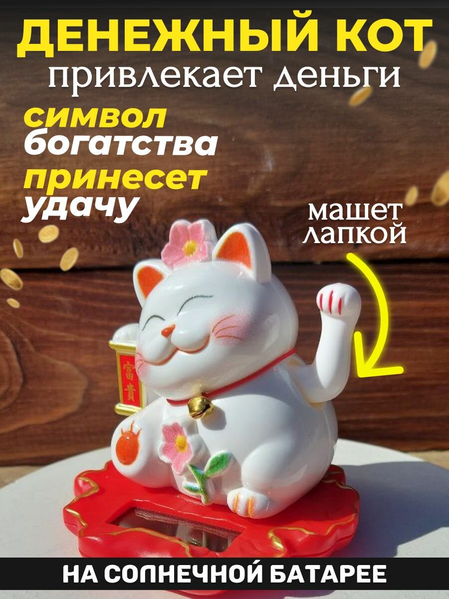 Японский денежный котик манэки нэко сакура