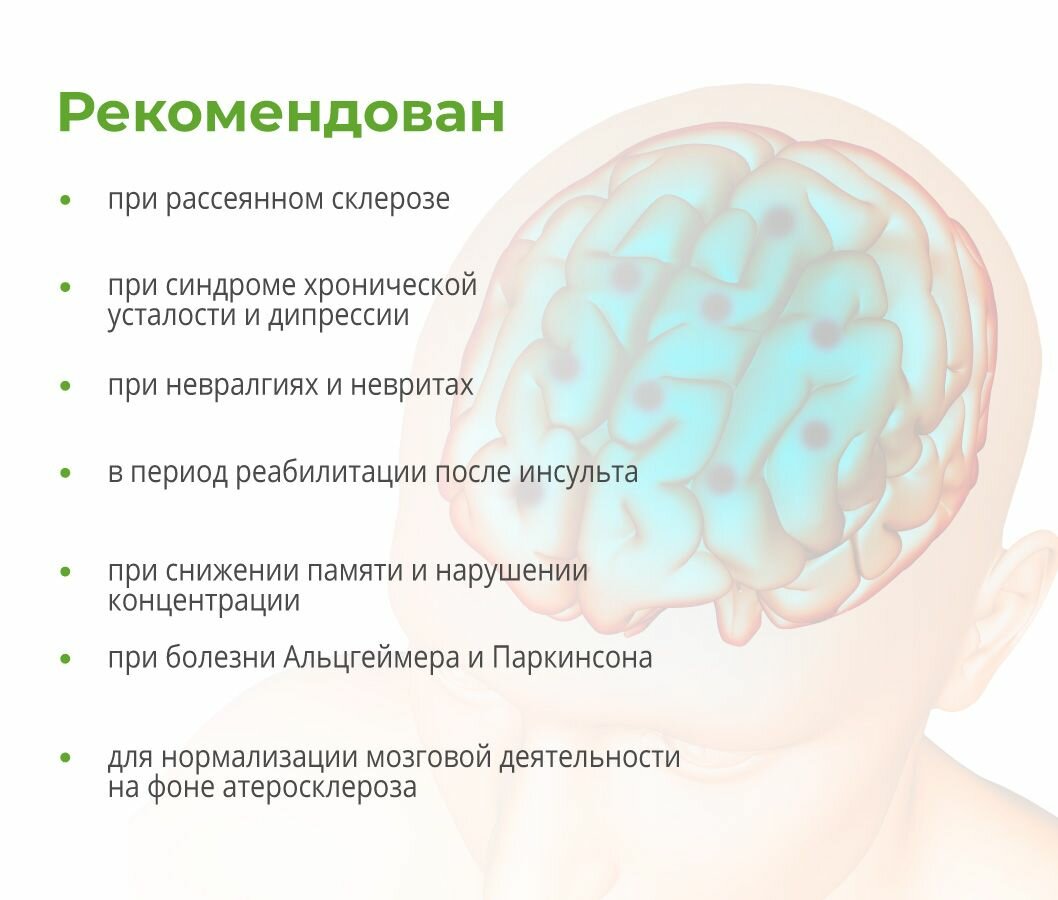 Церлутен (Пептиды Хавинсона) пептиды мозга и ЦНС, 60 капсул, бад для восстановление работы головного мозга, улучшение работы памяти и нервной системы, рассеянный склероз — фото 1