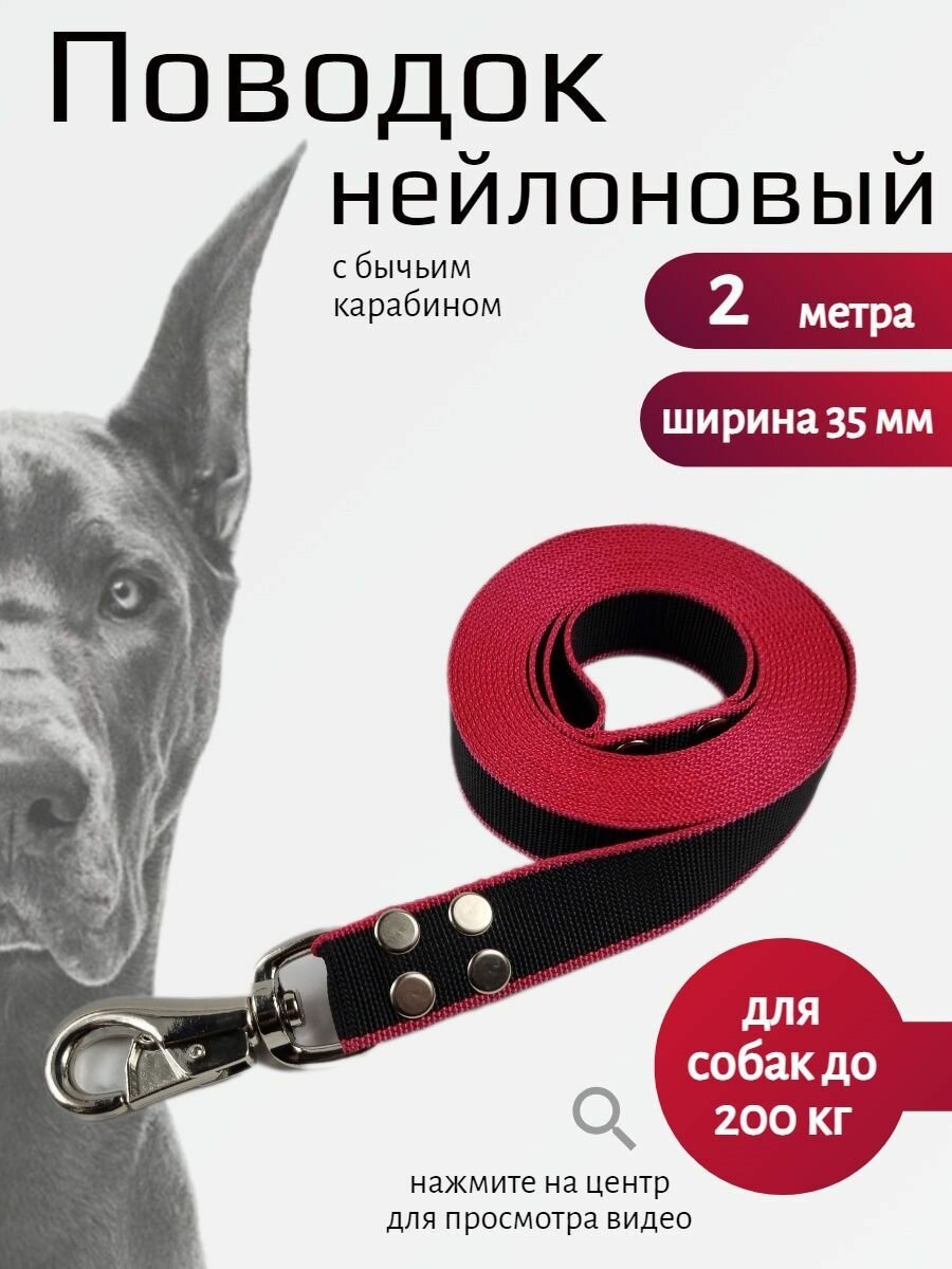 Поводок Хвостатыч для собак крупных пород с бычьим карабином нейлон 2 м х 35 мм (черно-красный)