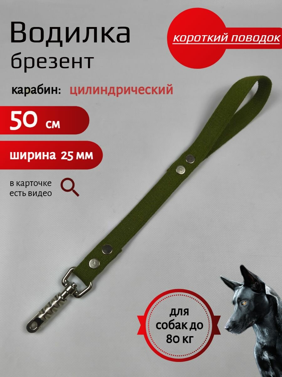 Мини-поводок Хвостатыч для собак с цилиндрическим карабином брезент 50 см х 25 мм (зеленый)