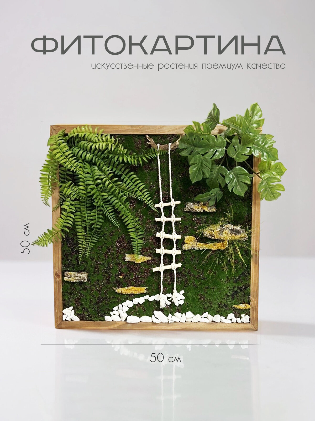 Картина из мха и растений