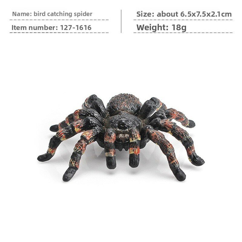 Rainforest insect butterfly poison spider figurine collection pvc insect models for nature study and home decor bird spider