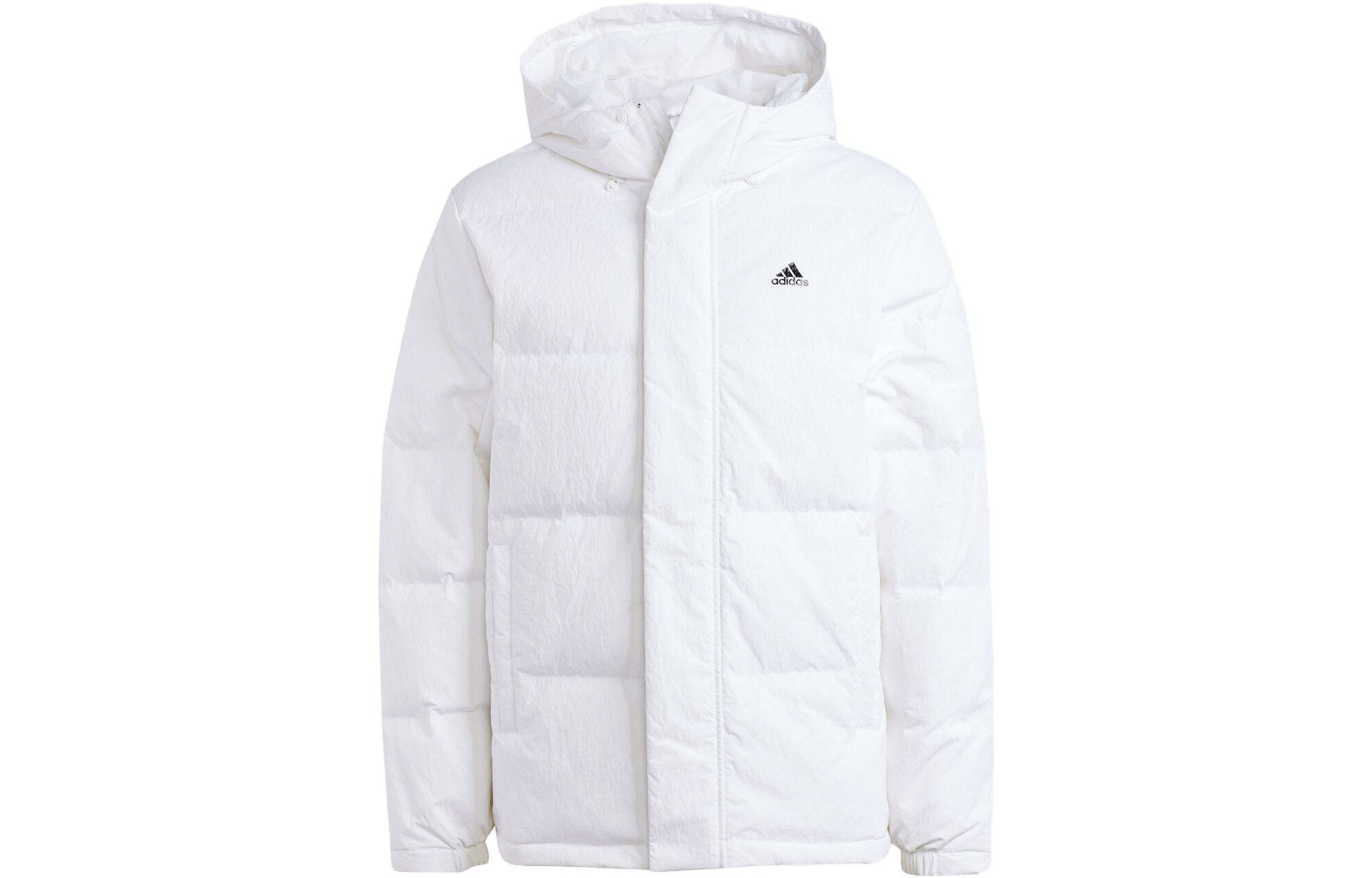 Пуховик Regular Daily