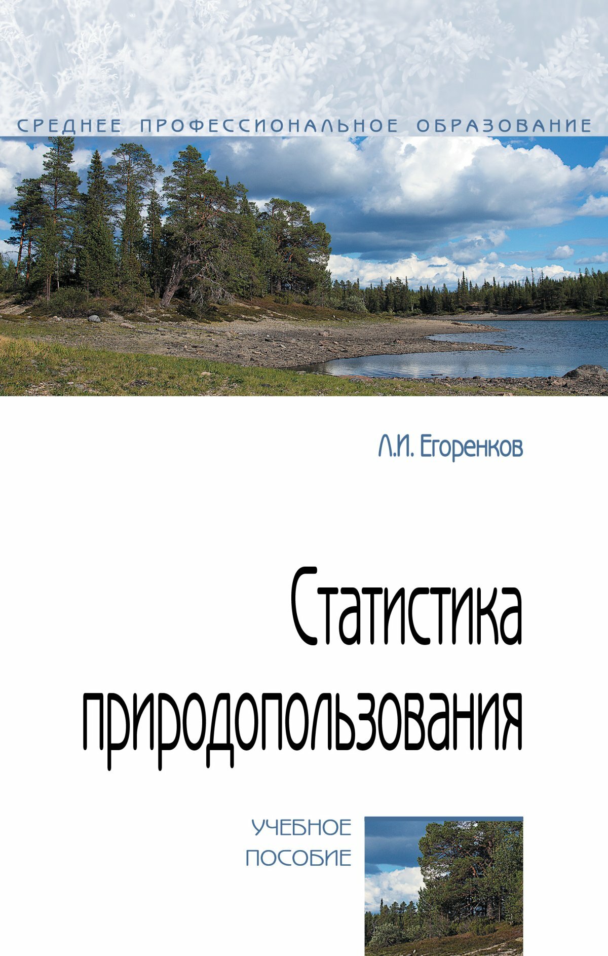 Статистика природопользования: Учебное пособие. Егоренков Л. И. СПО. 2025г, 174с.