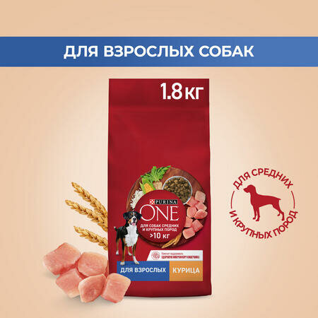 Purina ONE 10 кг сухой корм для собак, для средних и крупных пород, с курицей и рисом