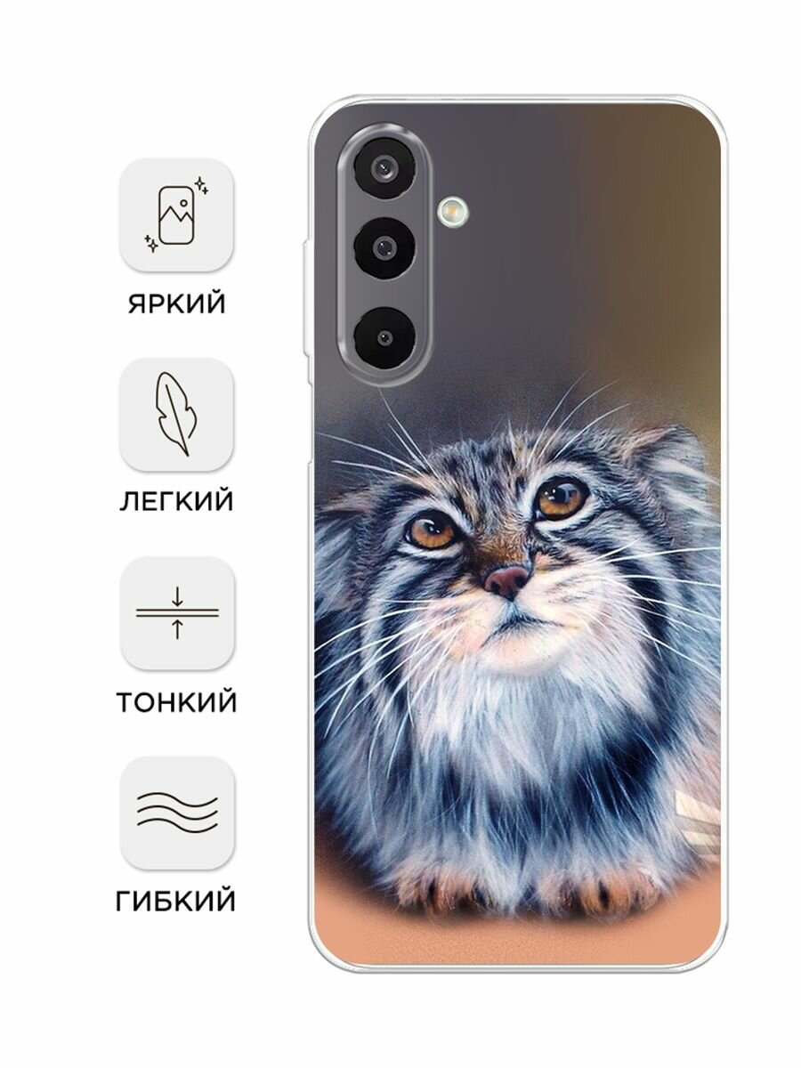 Чехол на Samsung Galaxy M16 / Самсунг Галакси М16 с принтом "Кот манул 2" — фото 1
