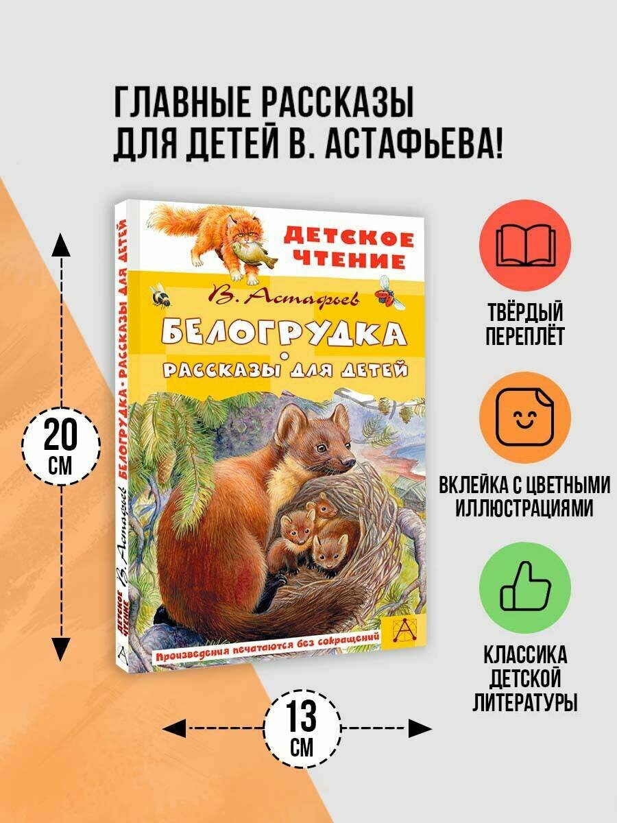 Книга АСТ "Белогрудка", рассказы для детей, 2024 год, твердый переплет, иллюстрации