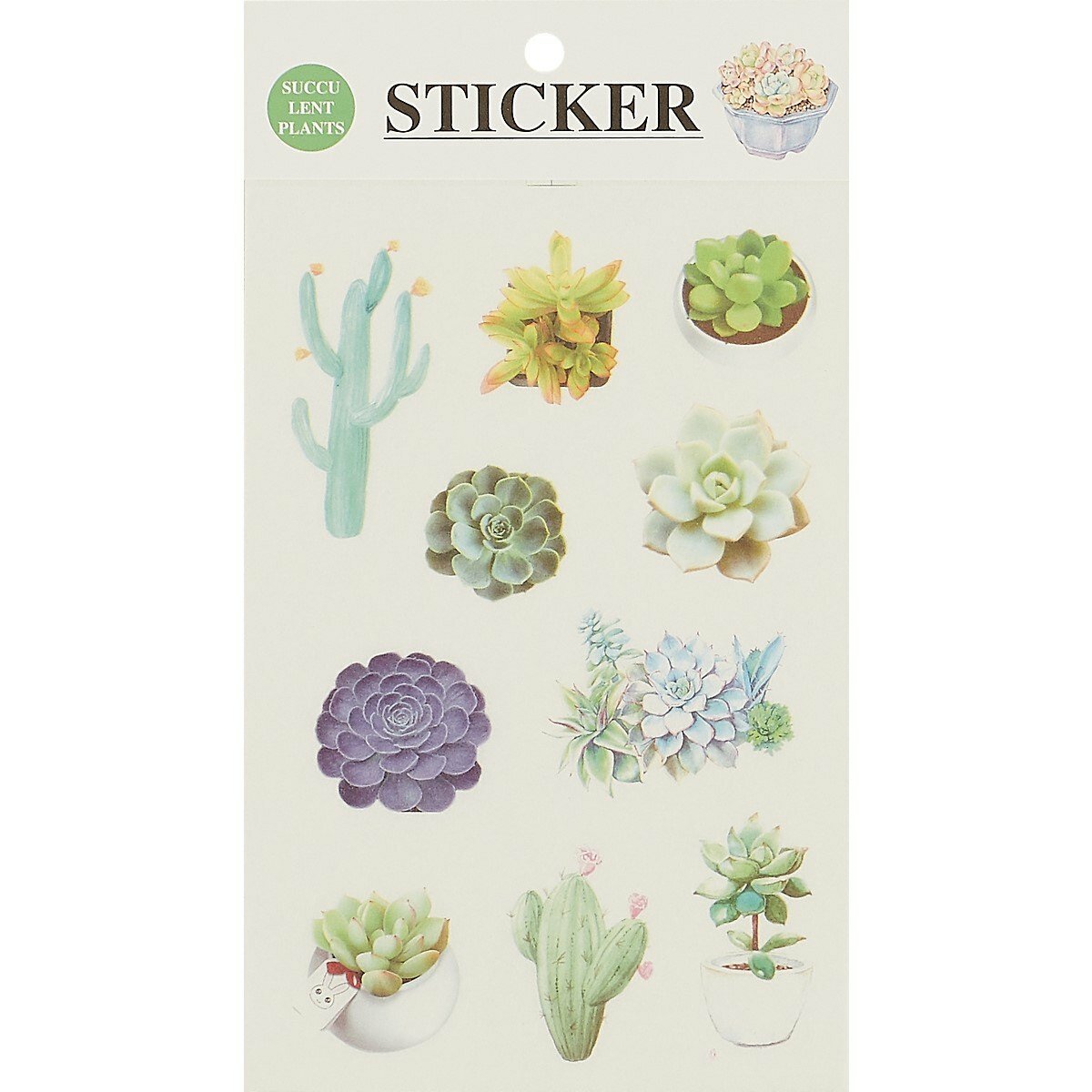 Наклейки бумажные Цветы, 19*10, (6 листов)