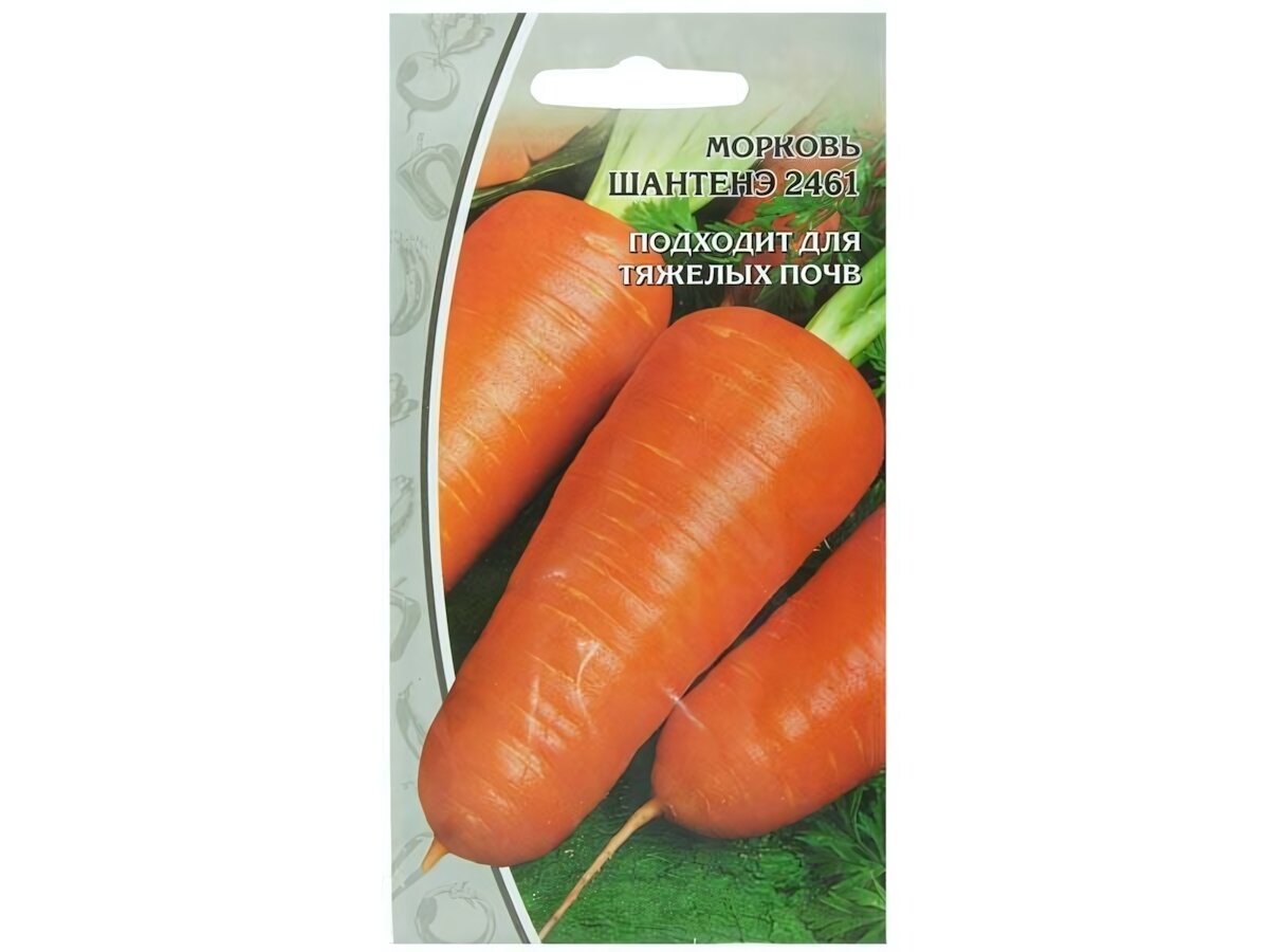 Семена моркови «Шантенэ 2461», среднеспелые, подходит для тяжелых почв, упаковка 2г, оранжевый корнеплод, бумажный пакет