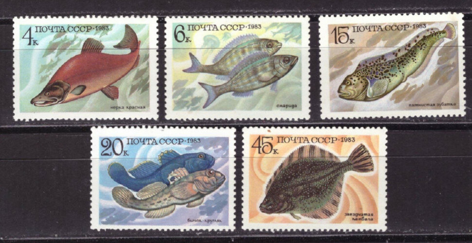 СССР, 1983. (5414-18) Морская фауна, рыбы