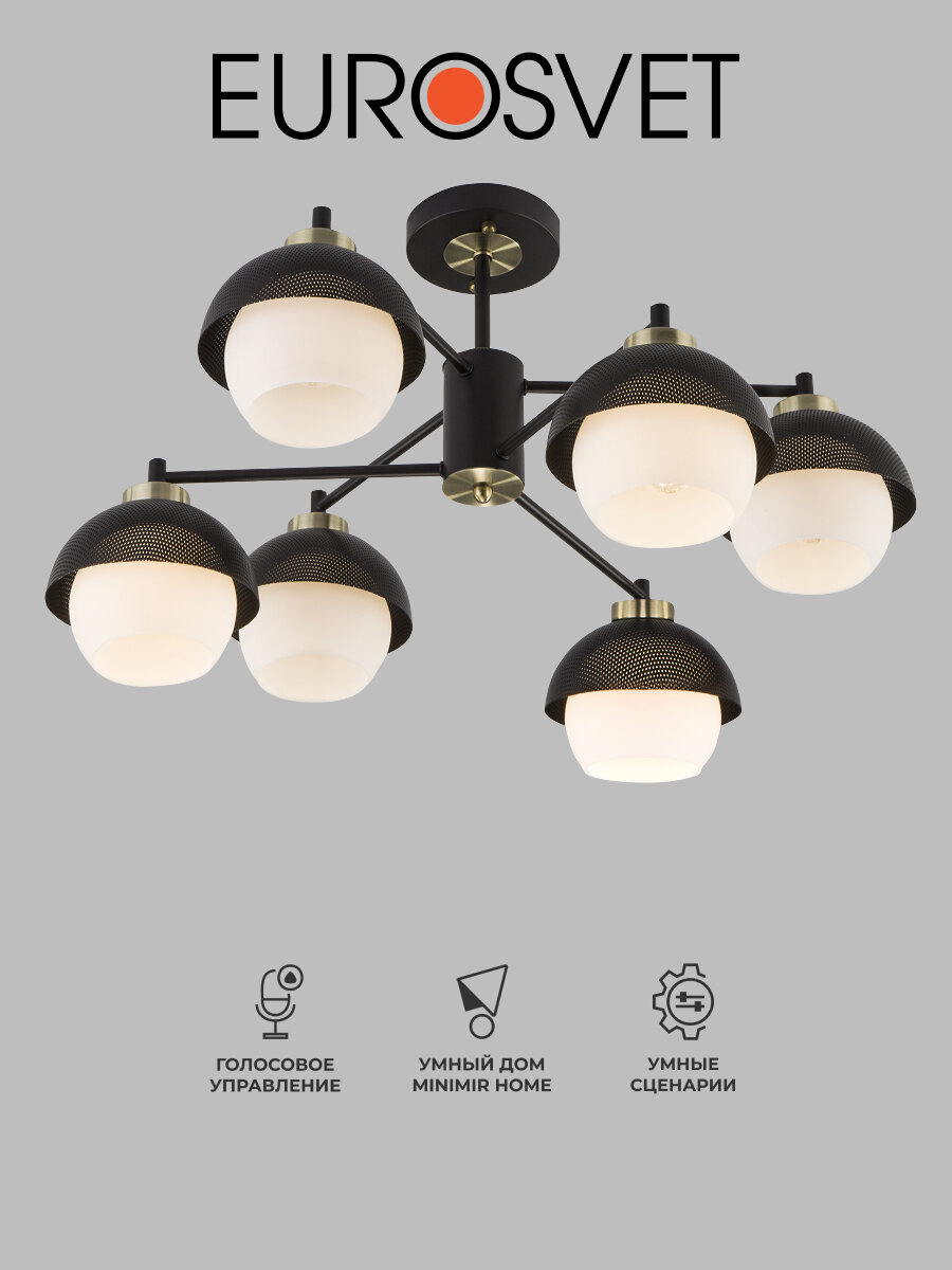 Умная люстра / Потолочный светильник с управлением по WI-FI Eurosvet Nocciola 70106/6 Smart Умный дом, цвет черный
