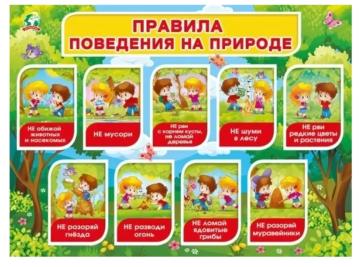 Плакат А2 "Правила поведения на природе", яркие иллюстрации, экологическое воспитание детей