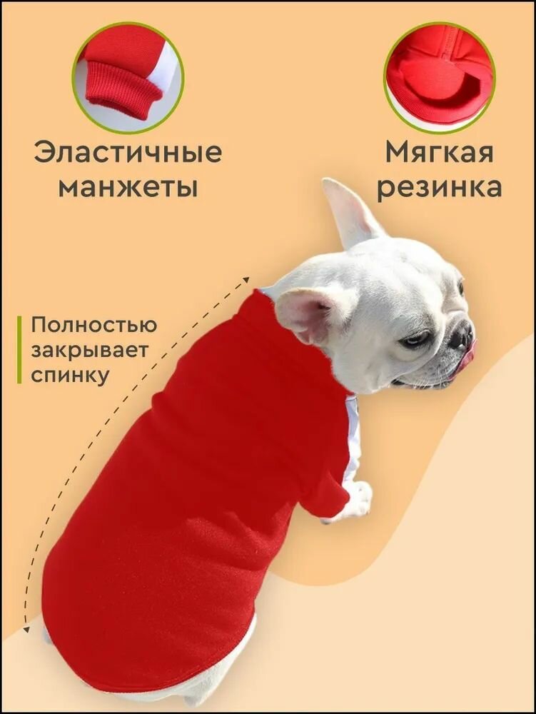 Одежда для животных — фото 1