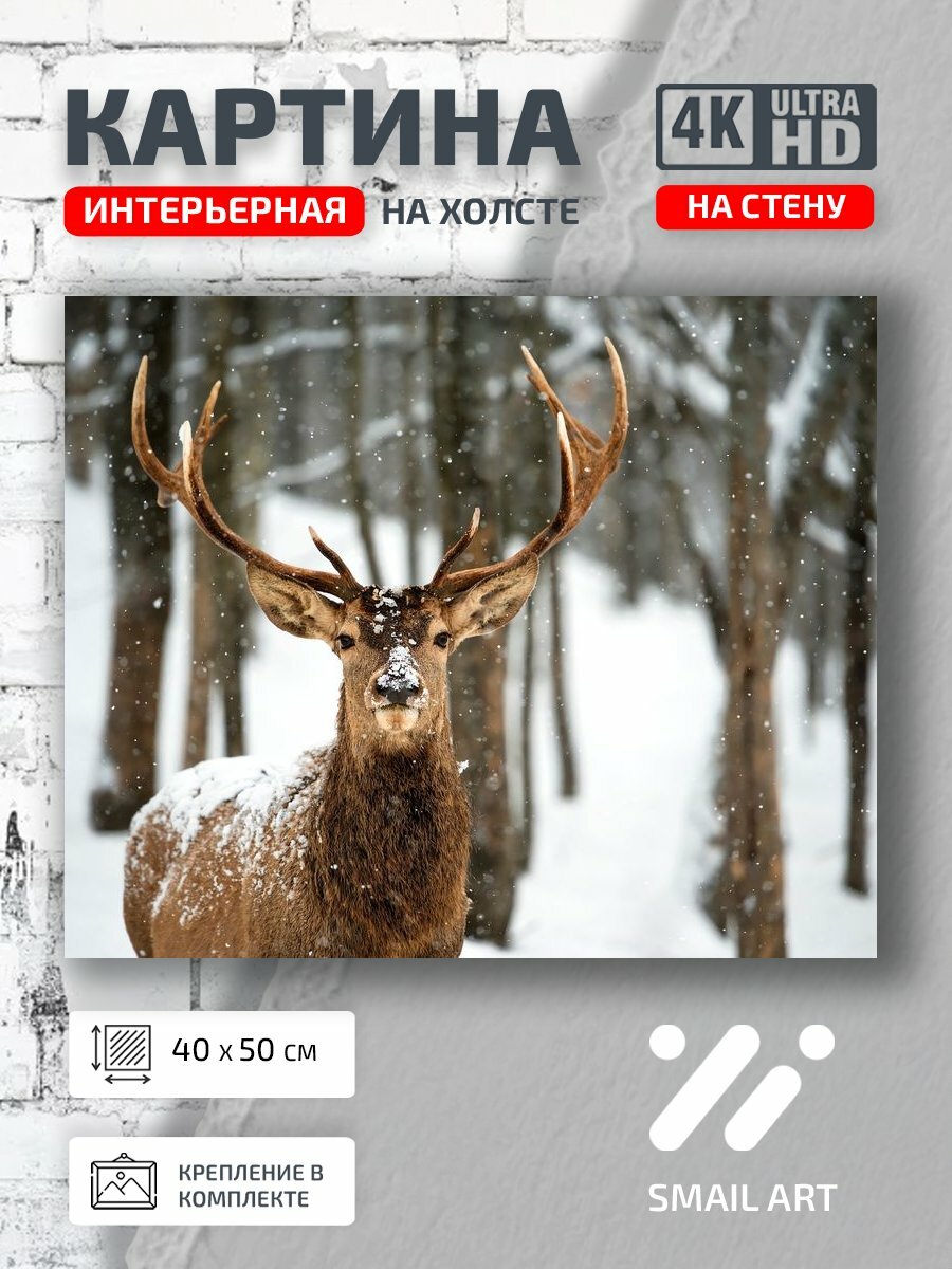 Картина на холсте интерьерная 40 на 50 на стену Зима Mood для кабинета атмосфера интерьер