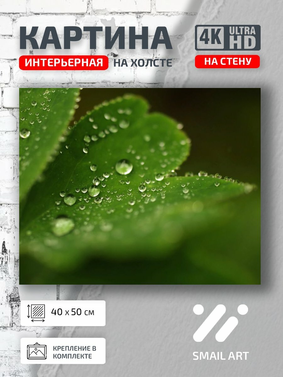 Картина на холсте интерьерная 40 на 50 на стену Каплями Landscape для гостиной пейзаж декор
