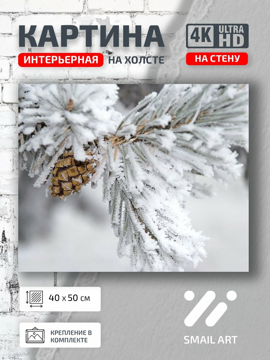 Картина на холсте интерьерная 40 на 50 на стену Шишка Landscape для офиса пейзаж интерьер