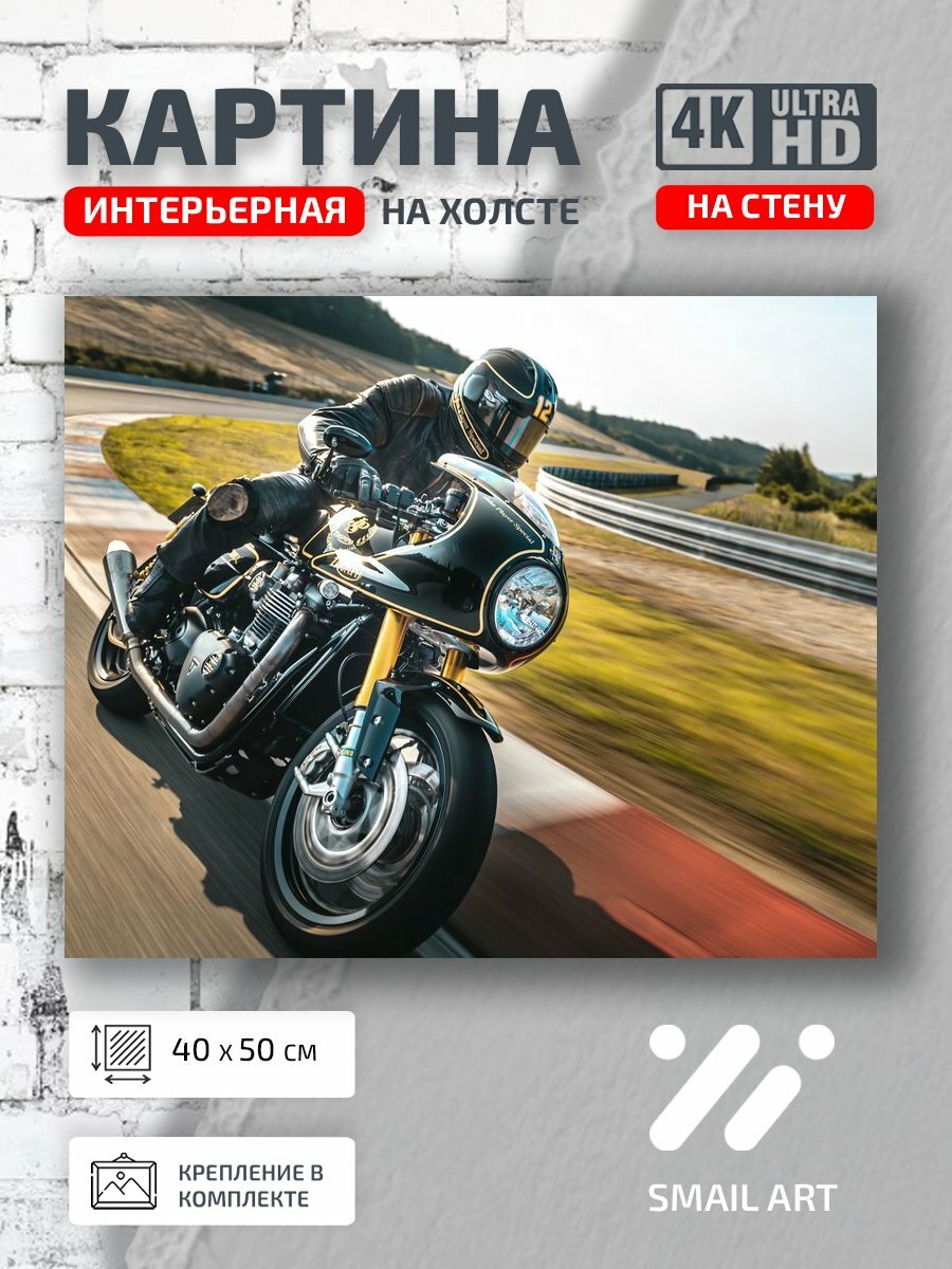 Картина на холсте интерьерная 40 на 50 на стену Вираж Car для киномана авто дизайн интерьер