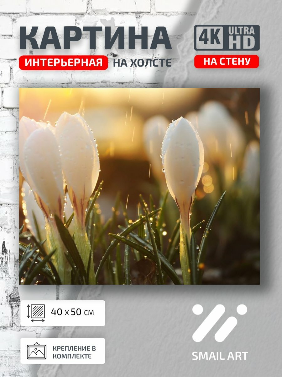 Картина на холсте интерьерная 40 на 50 на стену Белые Landscape для кафе пейзаж интерьер