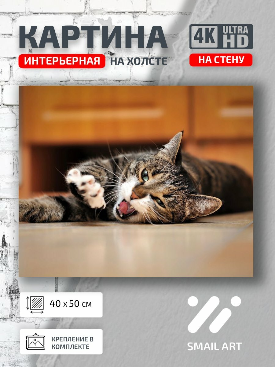 Картина на холсте интерьерная 40 на 50 на стену Лапа Animal для детской animal style декор