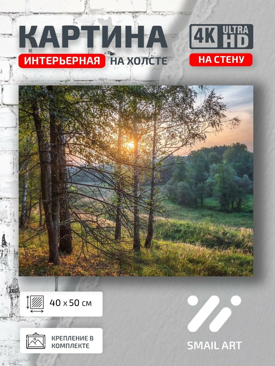 Картина на холсте интерьерная 40 на 50 на стену Природа лес для кабинета пейзаж